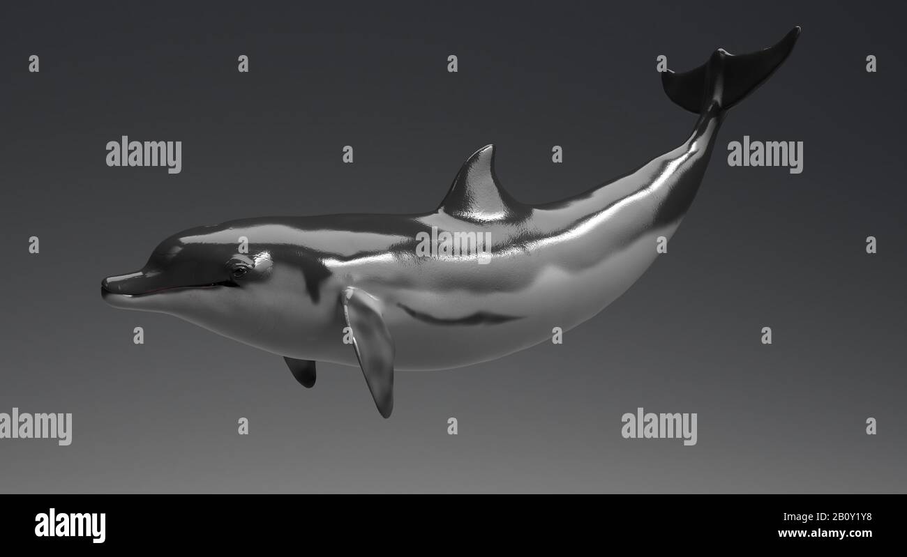 Dolphin animation of background, 3d rendering Stock Photo - Alamy