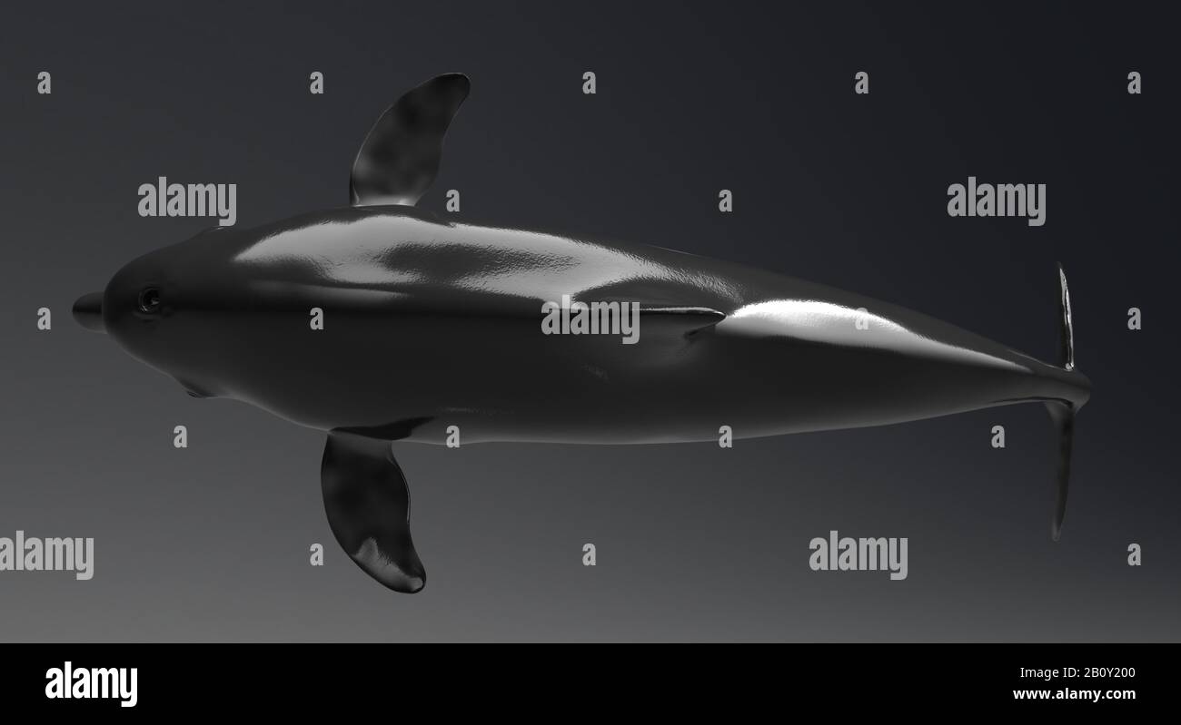 Dolphin animation of background, 3d rendering Stock Photo - Alamy