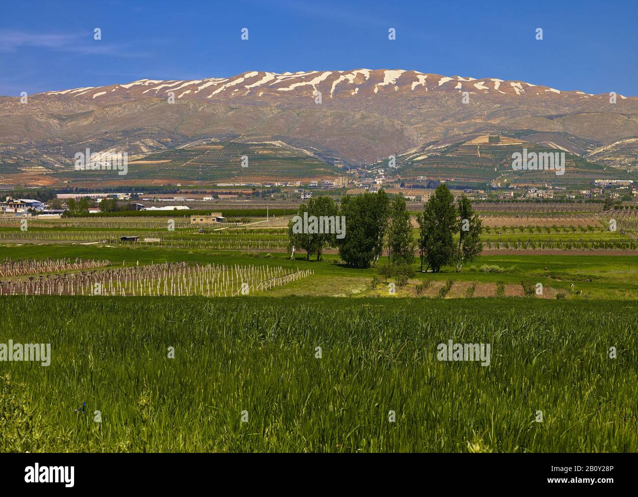 Lebanon mountains hi-res stock photography and images - Alamy