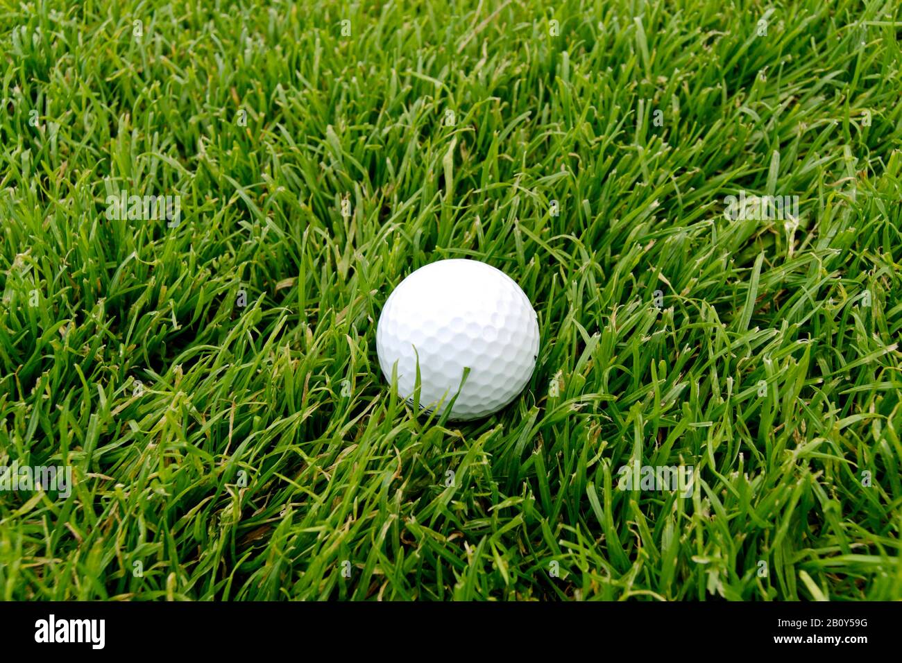 Golf ball on the green edge, rough, grass, golf course Stock Photo - Alamy