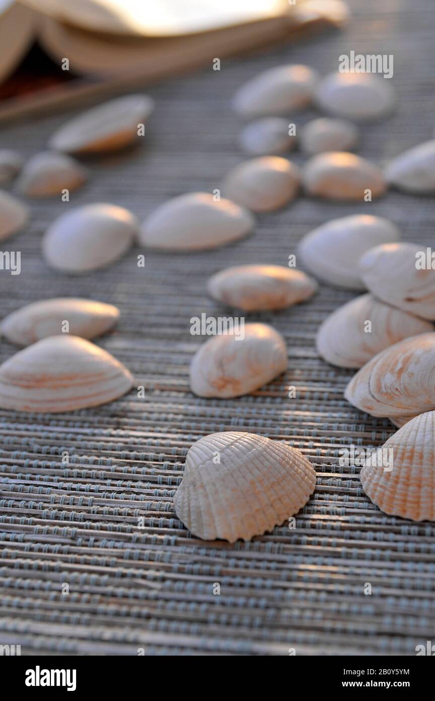 Mussels on a beach mat hi-res stock photography and images - Alamy