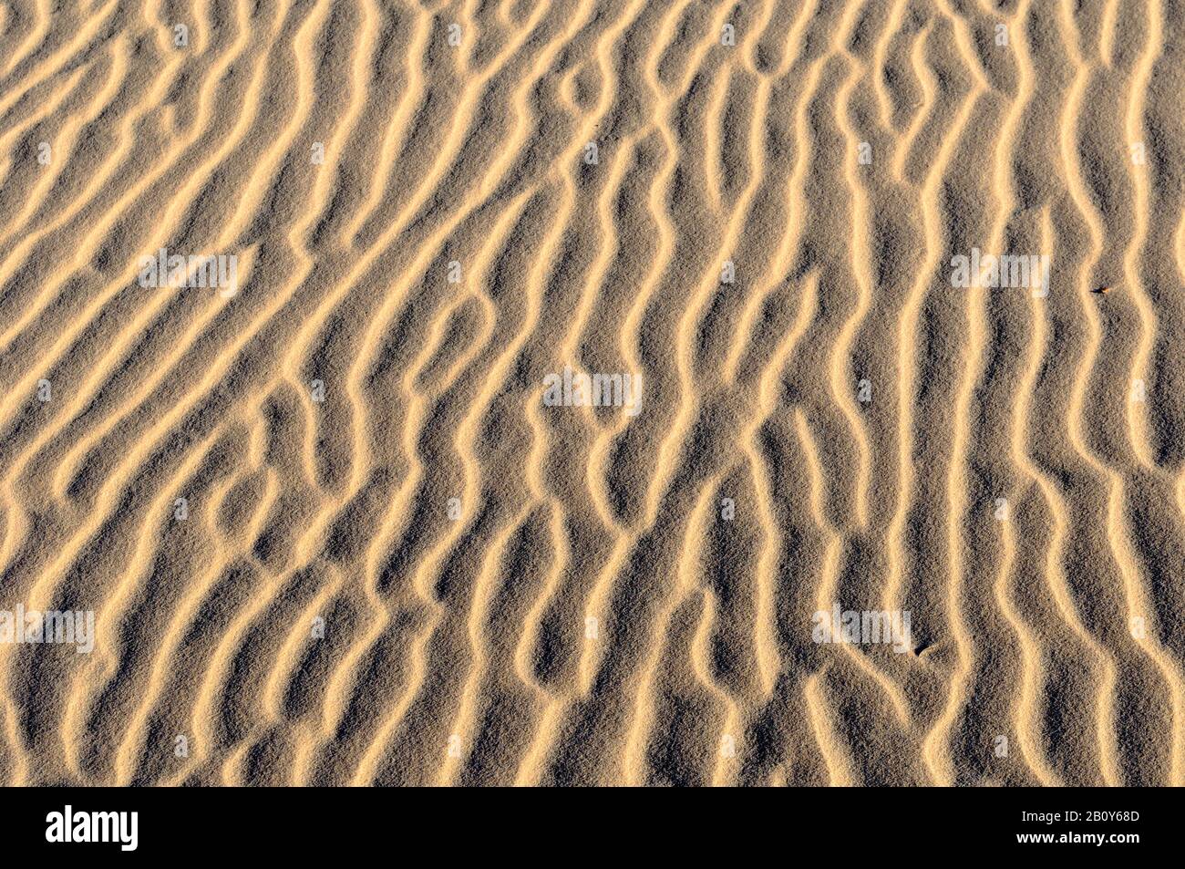 Sand dunes in Pipa, Praia da Pipa, Rio Grande do Norte, Brazil, South ...