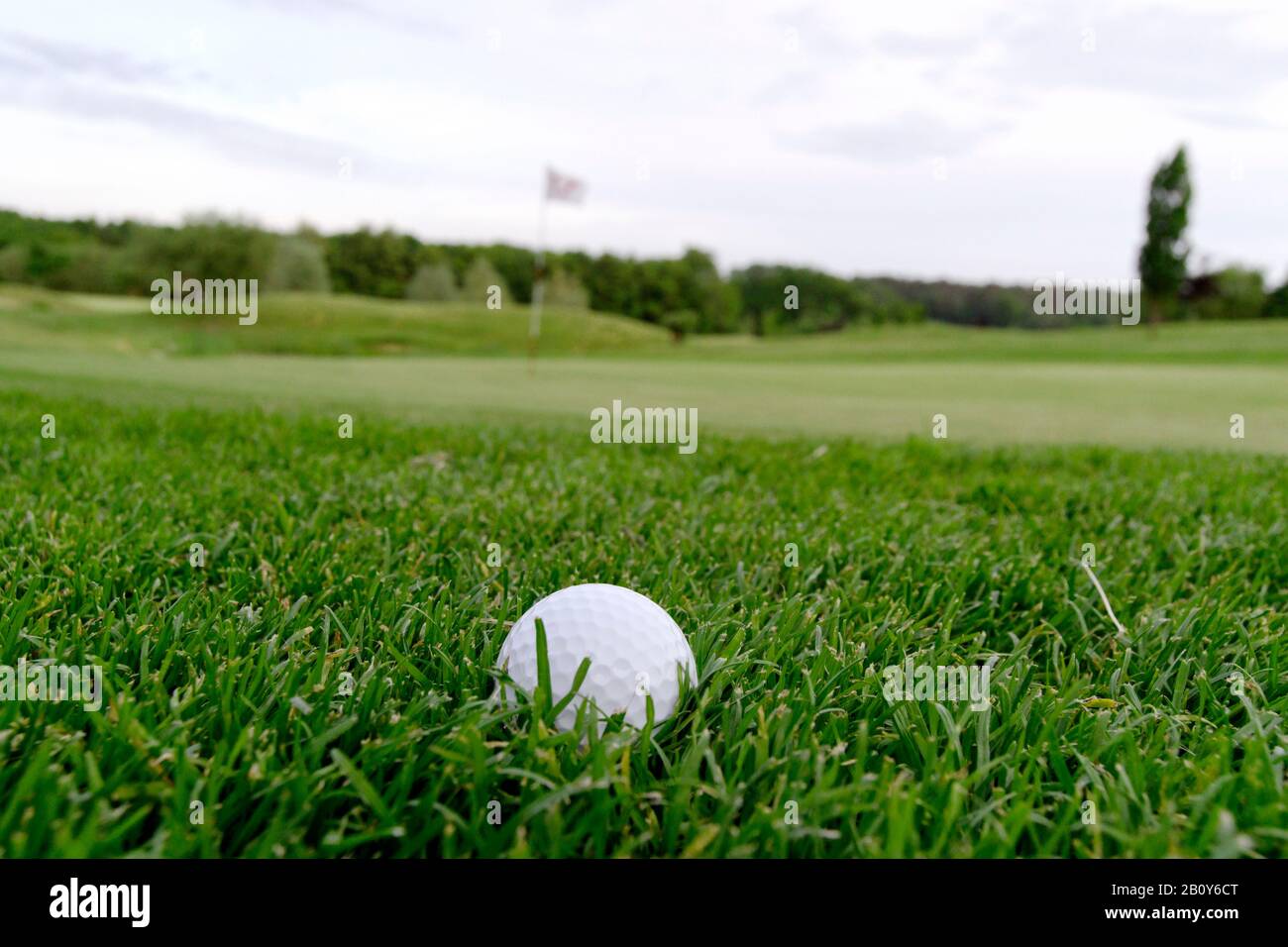 Golf ball on the green edge, rough, grass, golf course Stock Photo - Alamy
