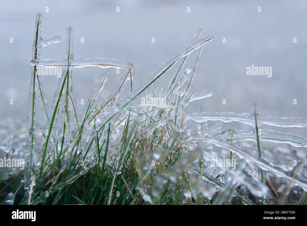 During a brisk walk early one morning, I noticed that each blade of ...