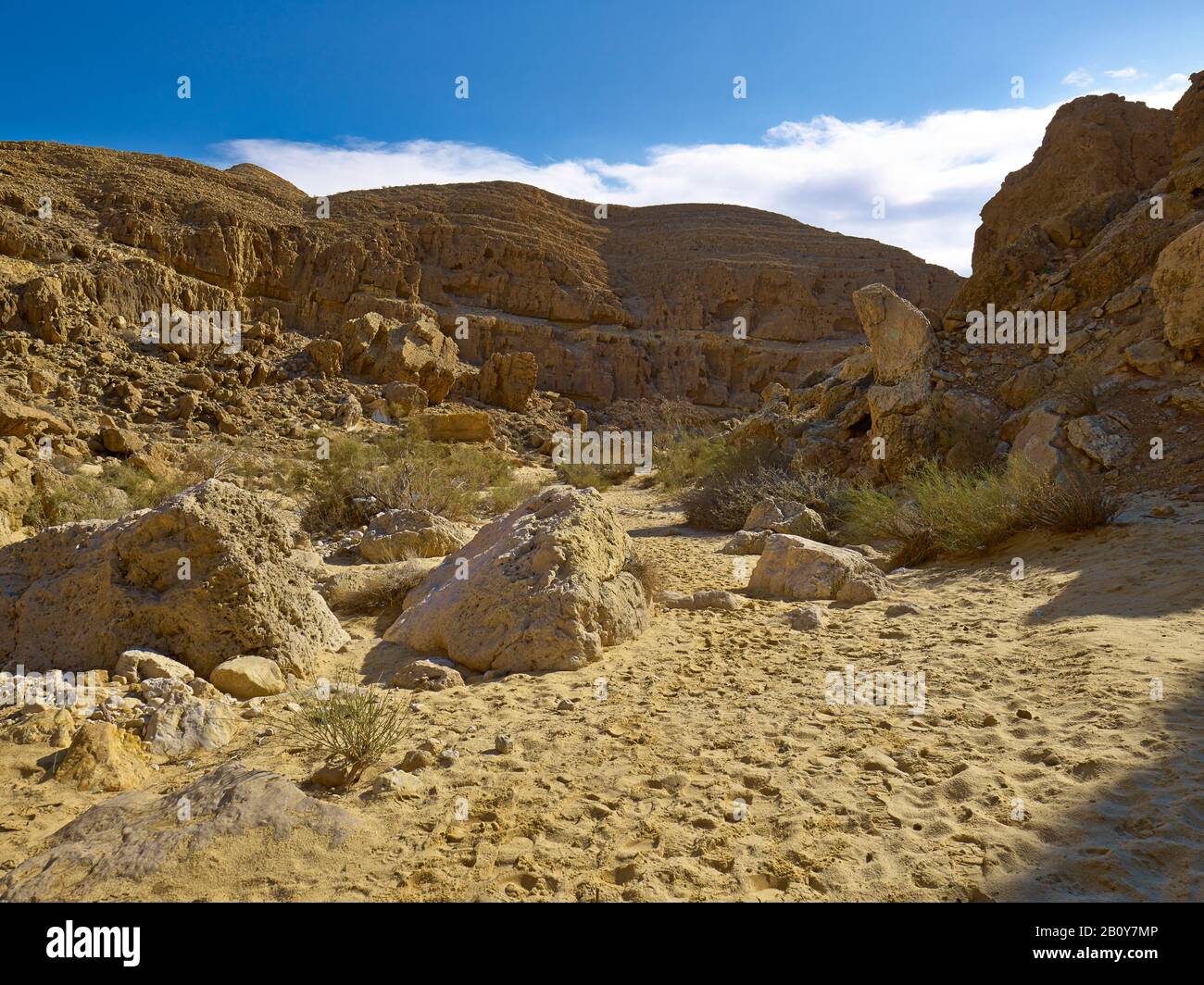 Wadi bei Mamshit on Frankincense Road, Negev Desert, Israel Stock Photo ...