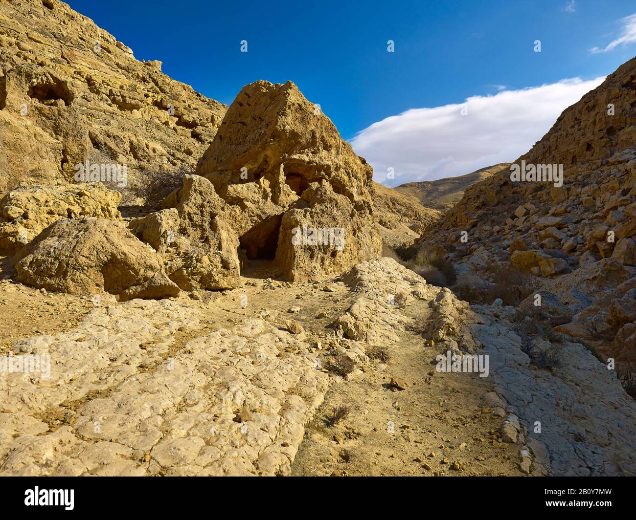 Wadi bei Mamshit on Frankincense Road, Negev Desert, Israel Stock Photo ...