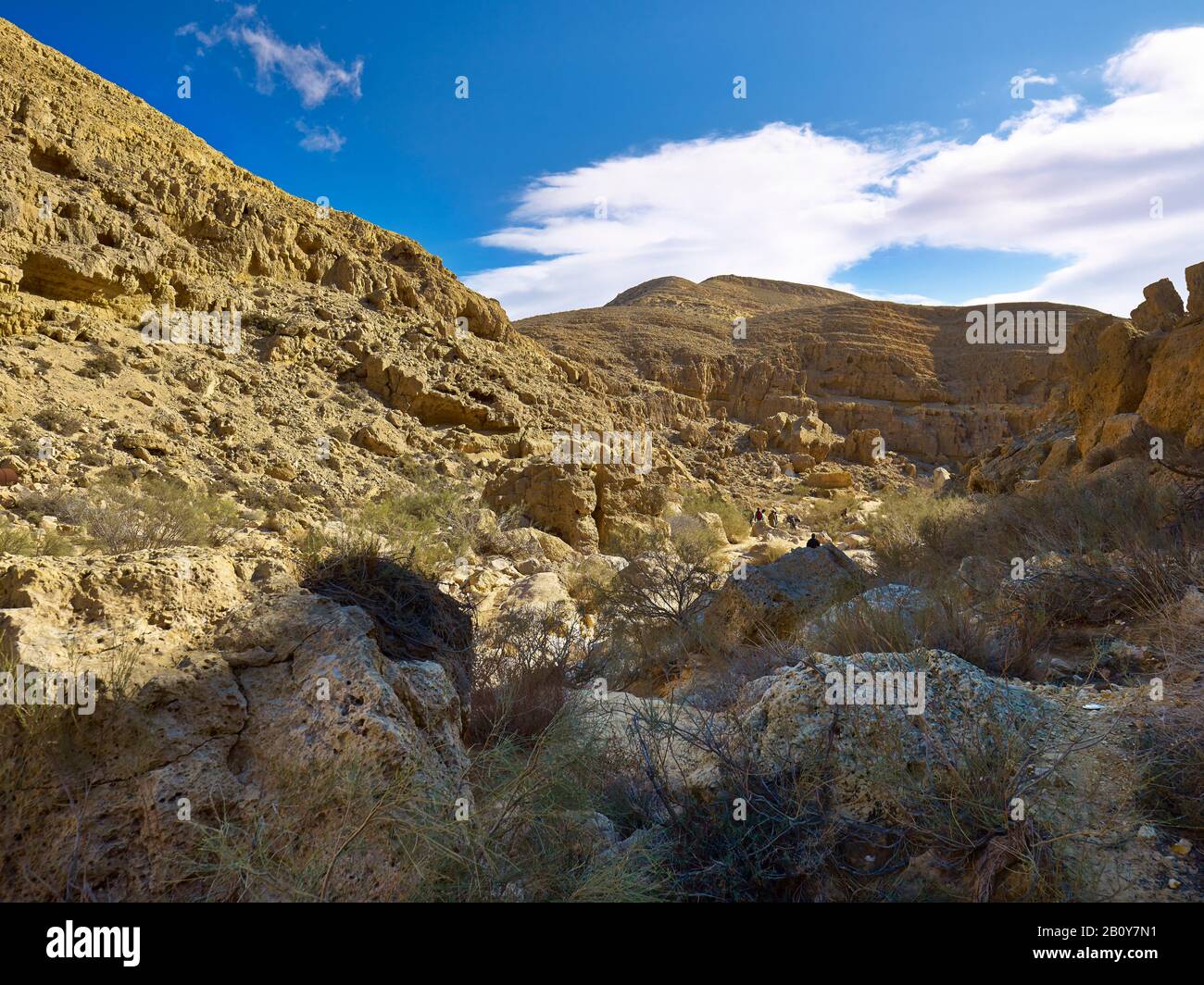 Wadi bei Mamshit on Frankincense Road, Negev Desert, Israel Stock Photo ...