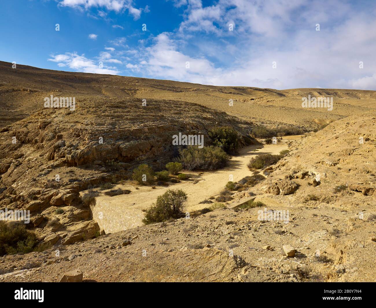 Frankincense road hi-res stock photography and images - Alamy