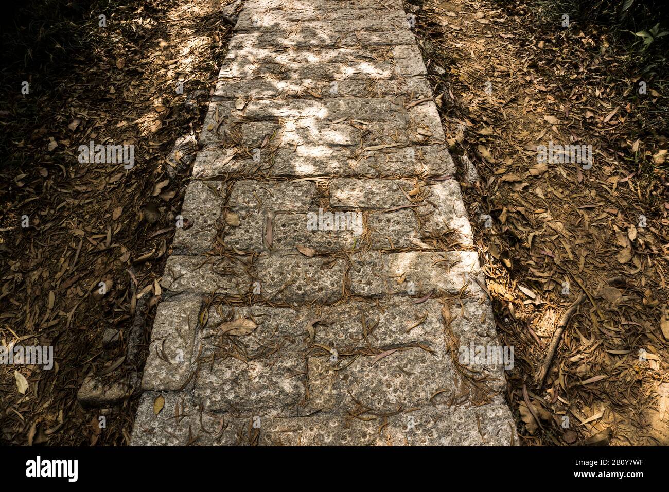 Autumn trail, stone road, country road, alley, lane strewn with brown ...