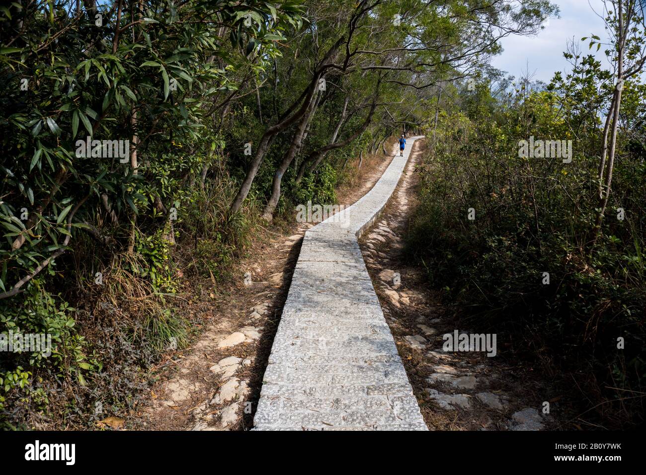 Trail running, trail runner on stone trail, footpath, country road ...