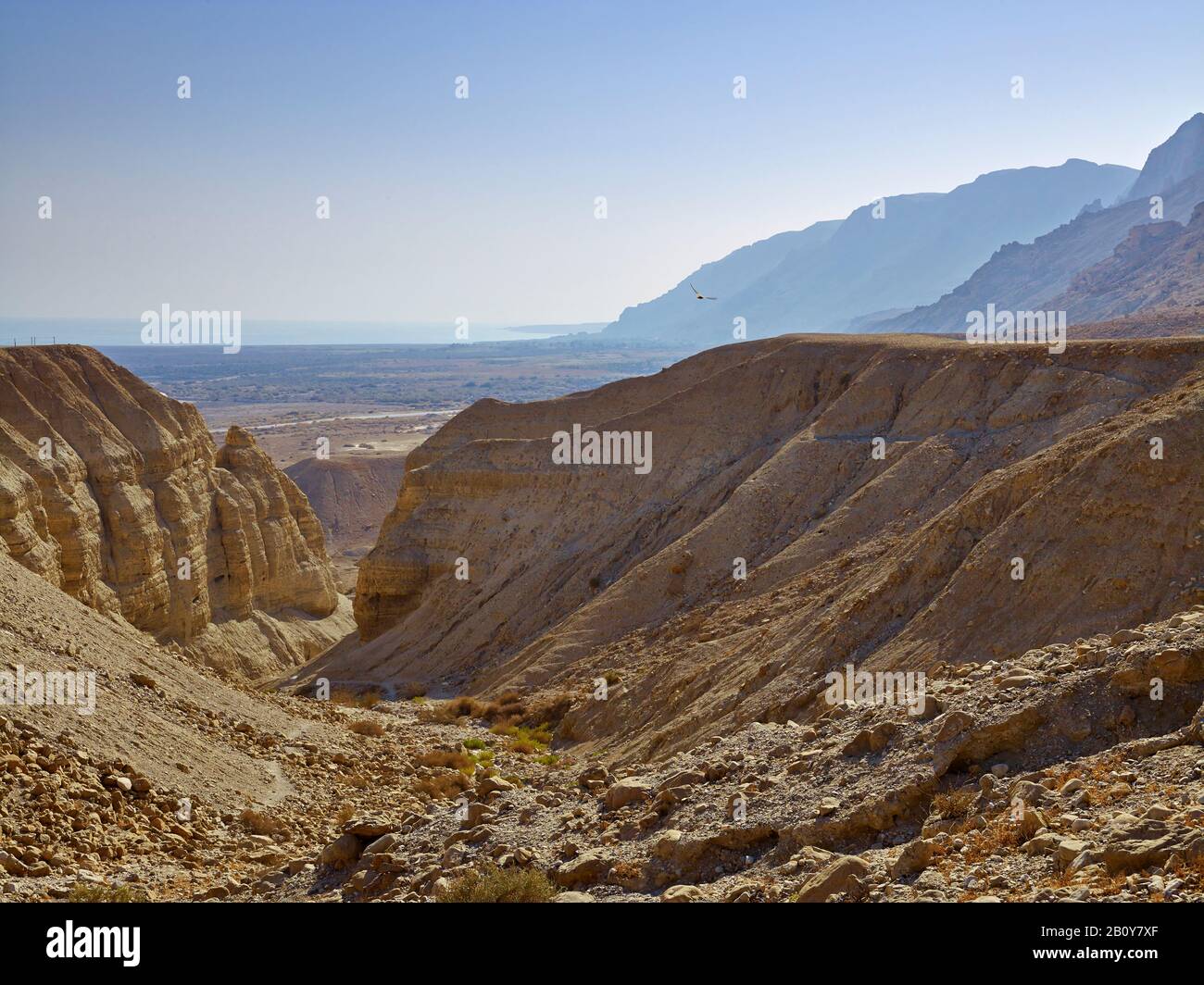 Qumran national park hi-res stock photography and images - Alamy