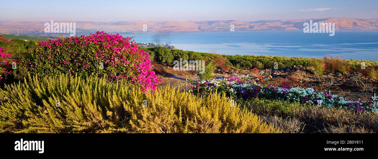See genezareth hi-res stock photography and images - Alamy