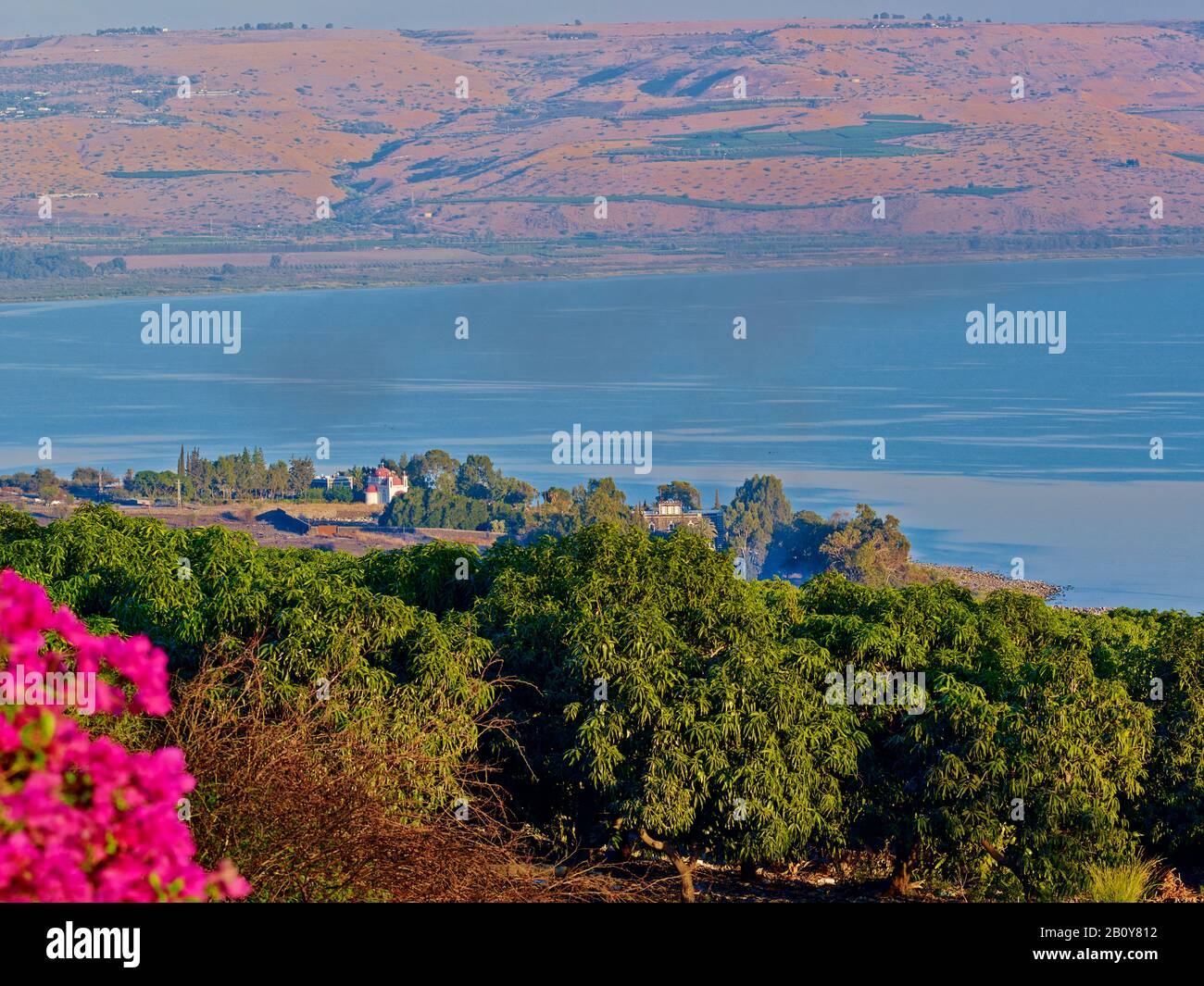 View of the Sea of Galilee towards Capernaum, Galilee, Israel Stock ...