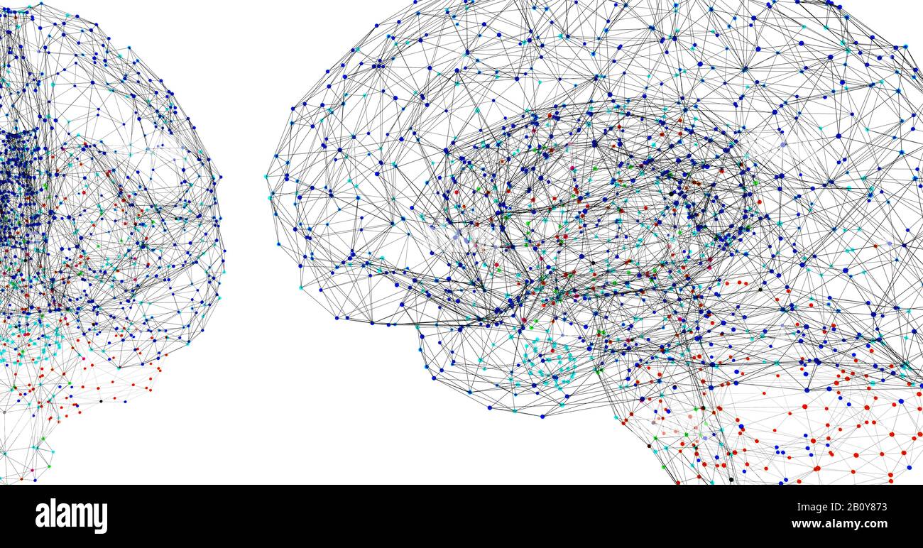 Human brain, illustration Stock Photo - Alamy