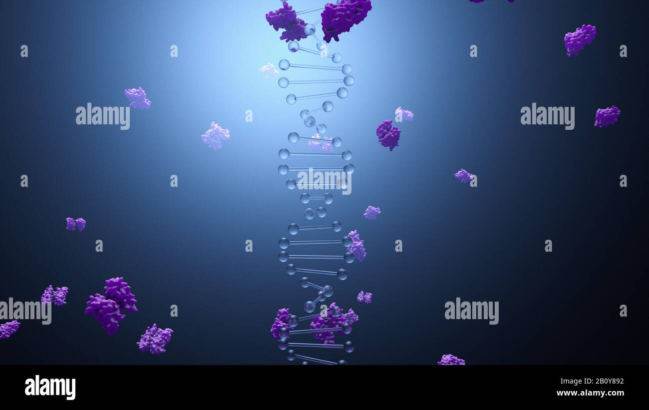 DNA and proteins, illustration Stock Photo - Alamy