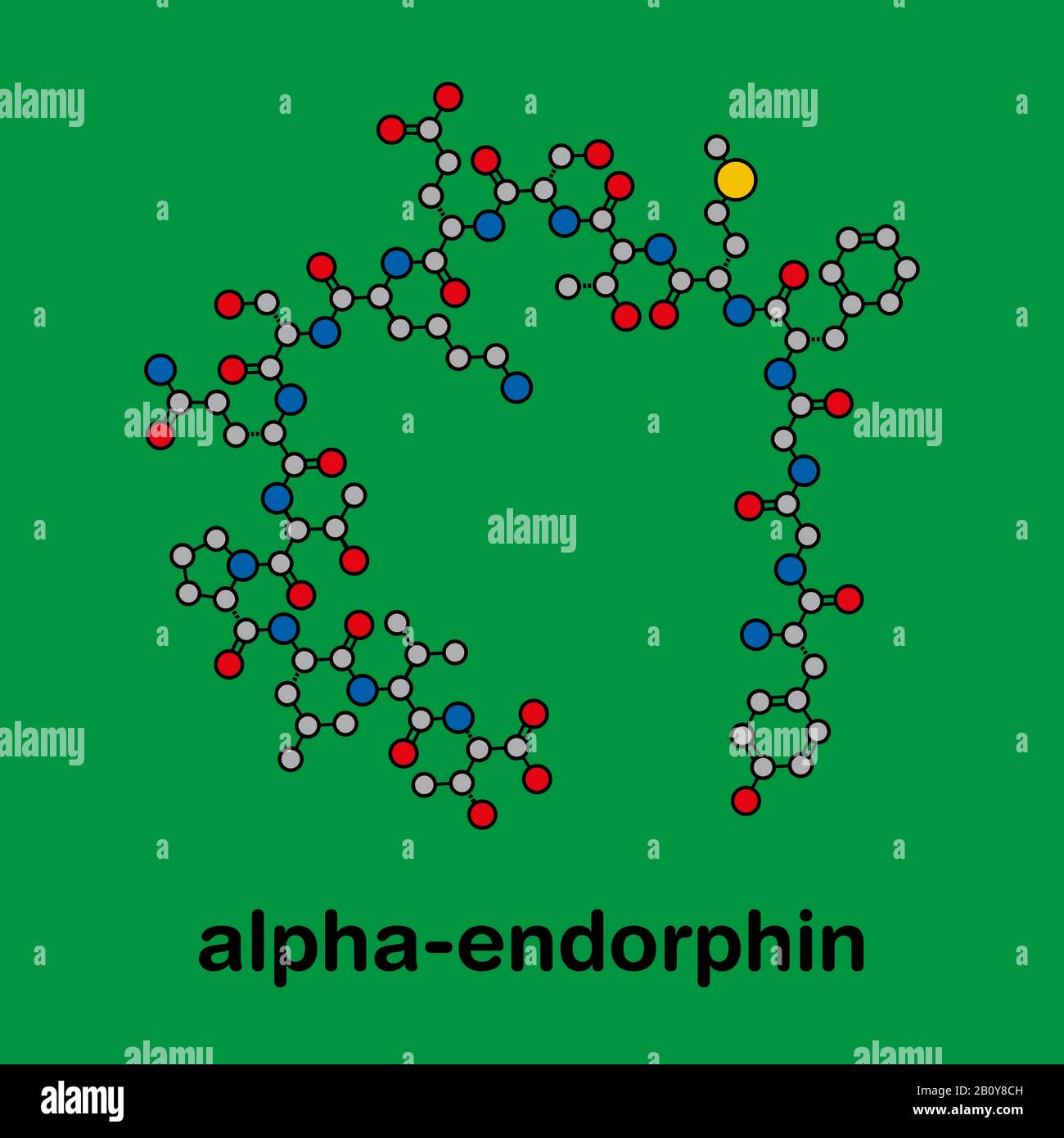 Neuropeptide hi-res stock photography and images - Alamy