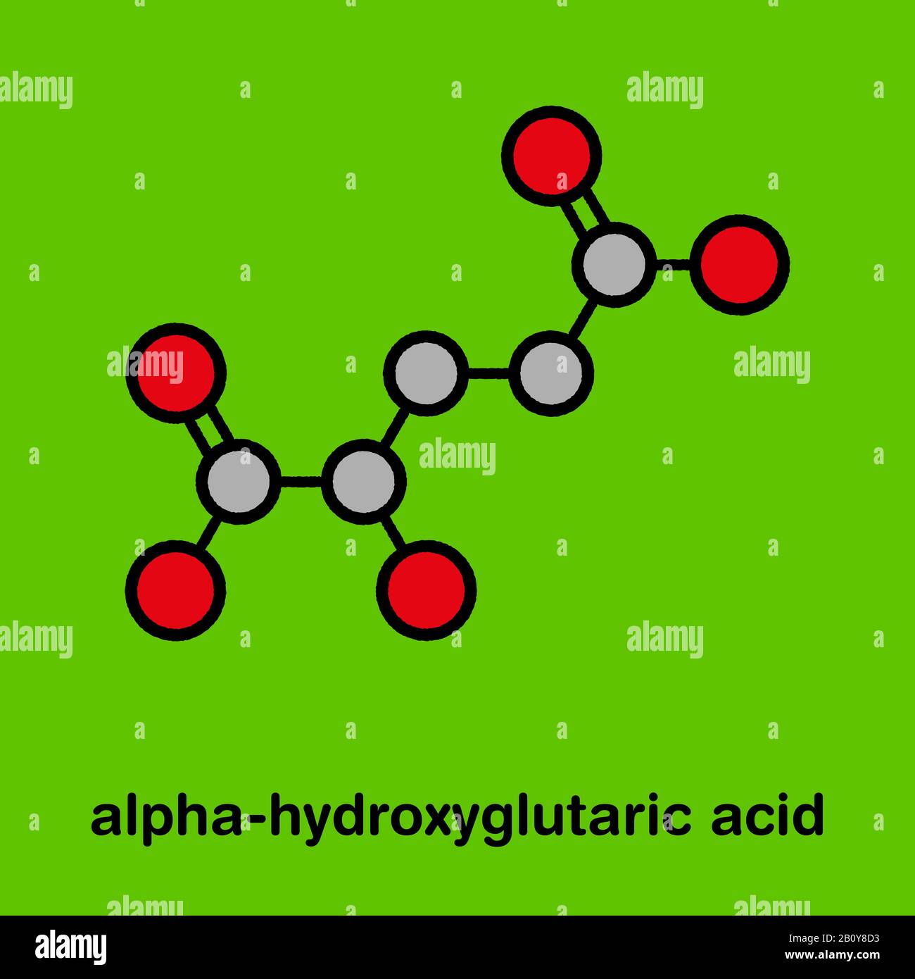 2-hydroxyglutarate molecule, illustration Stock Photo - Alamy