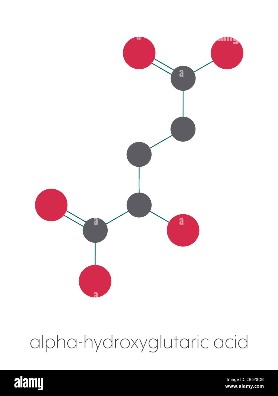 2-hydroxyglutarate molecule, illustration Stock Photo - Alamy