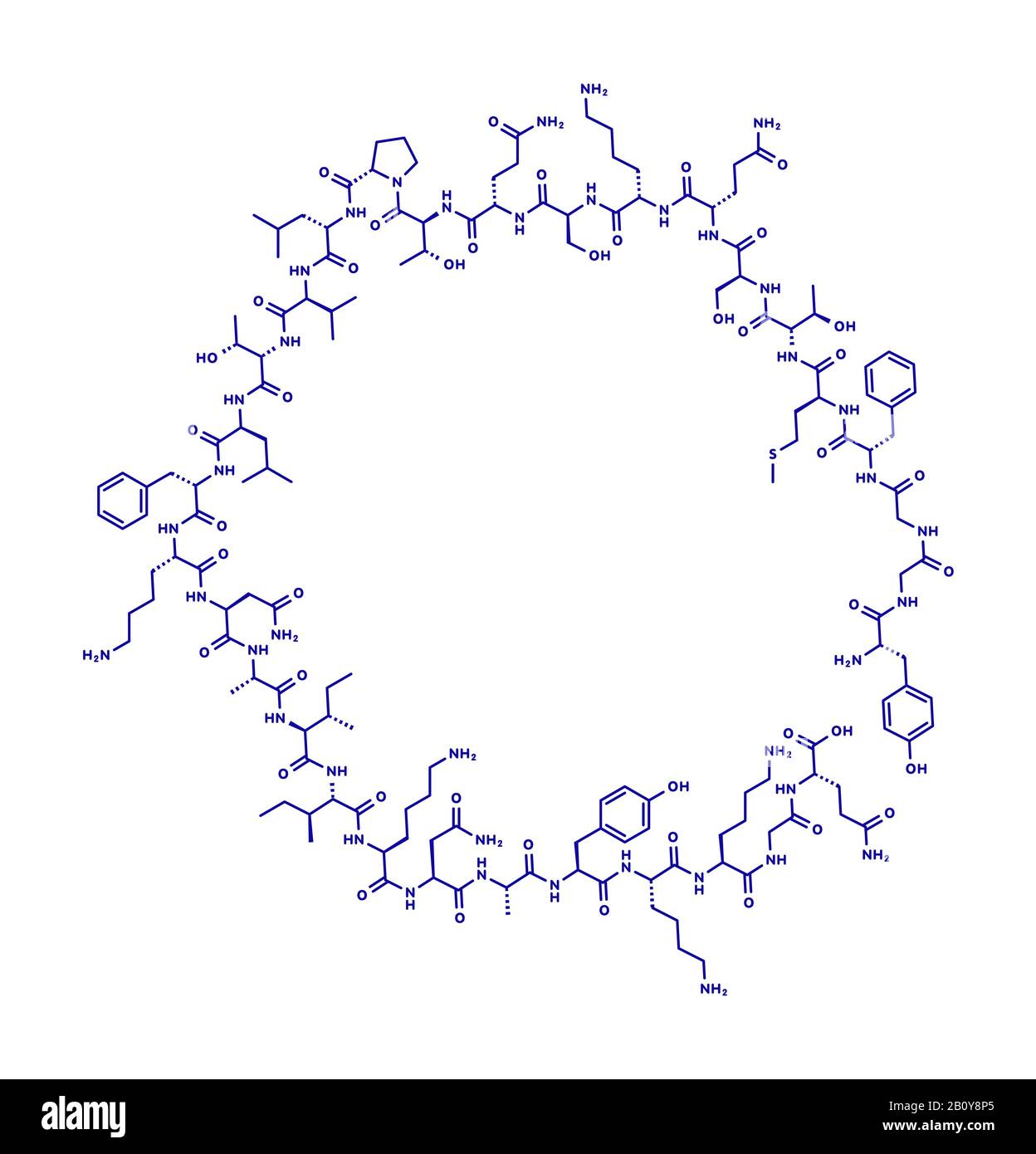 Beta-endorphin endogenous opioid peptide molecule Stock Photo - Alamy
