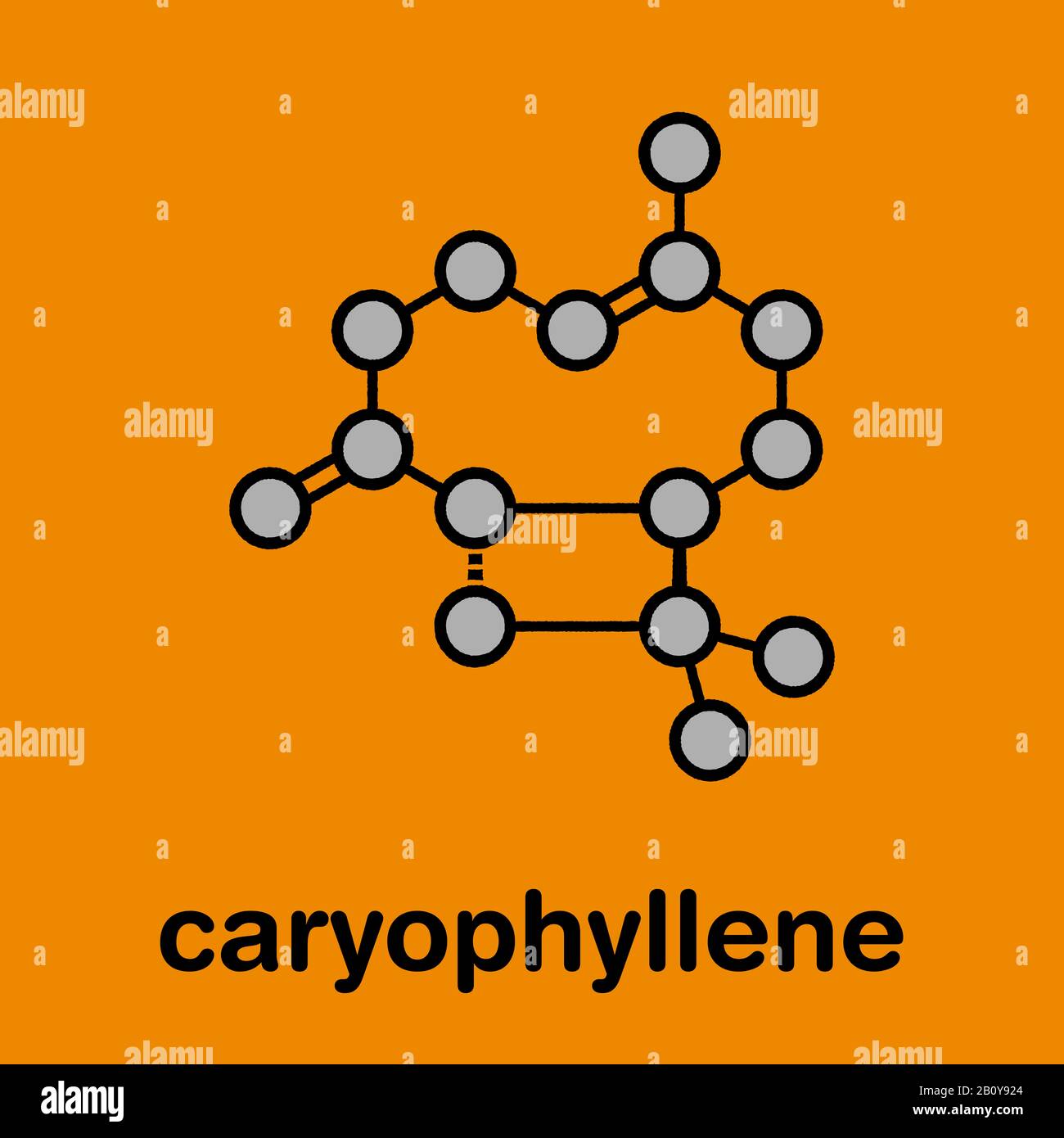 Caryophyllene molecular hi-res stock photography and images - Alamy