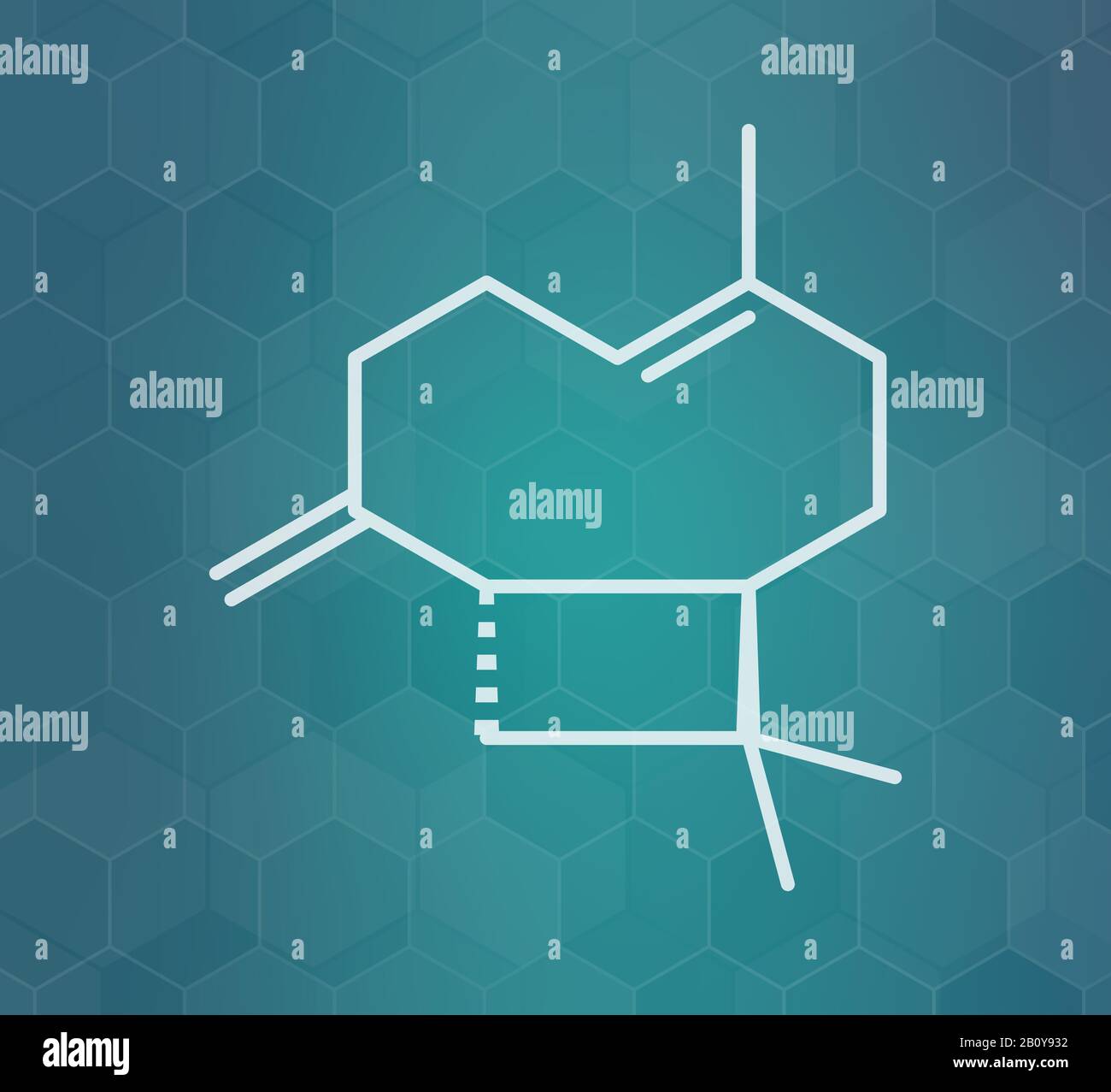 Caryophyllene molecule, illustration Stock Photo - Alamy