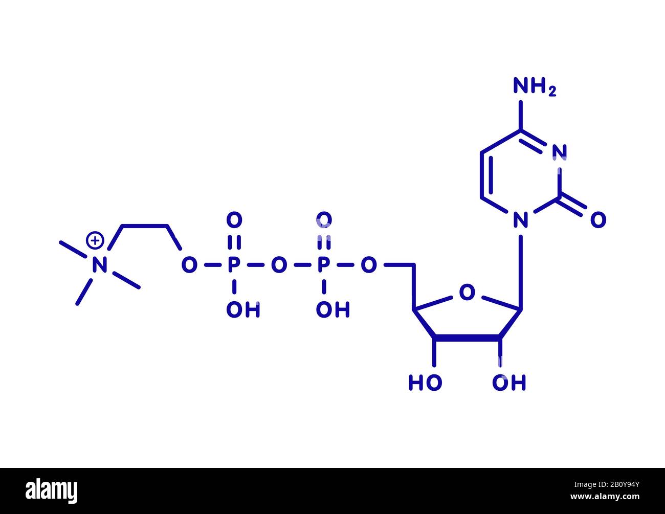 Citicoline molecule, illustration Stock Photo - Alamy
