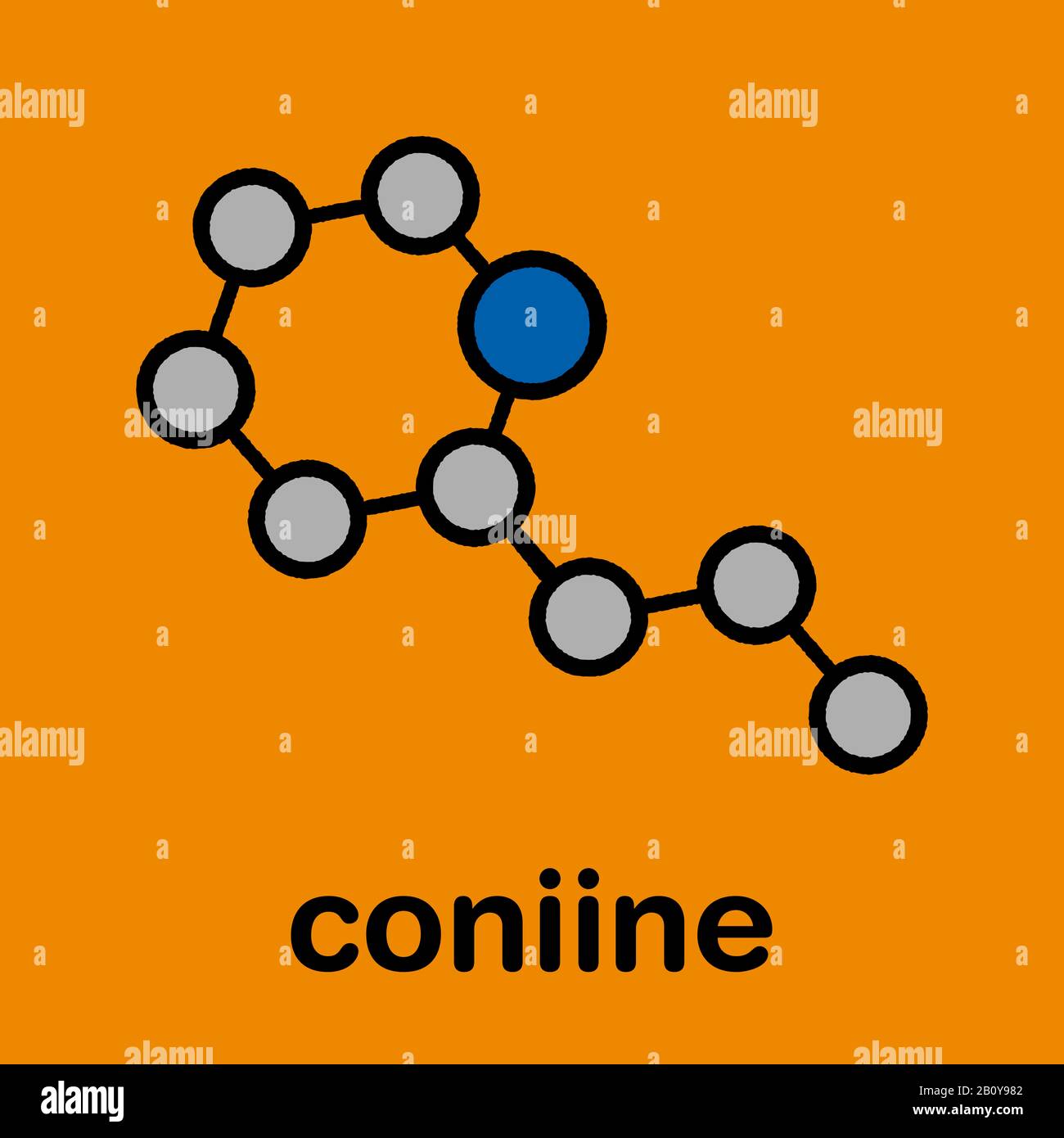Coniine herbal toxin molecule, illustration Stock Photo - Alamy
