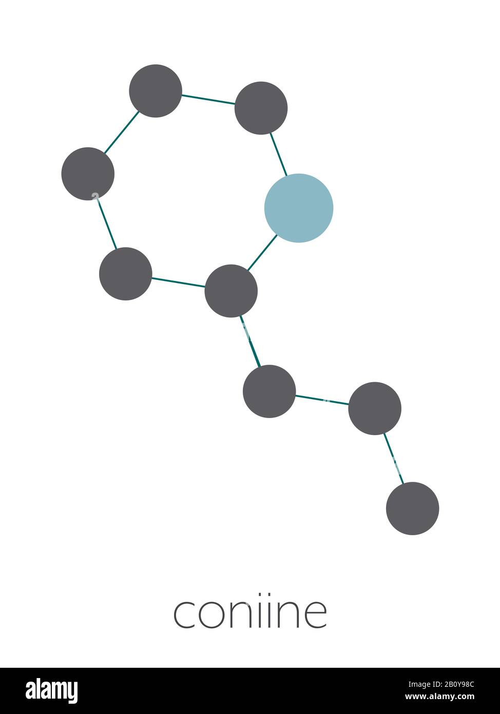 Coniine molecule Cut Out Stock Images & Pictures - Alamy