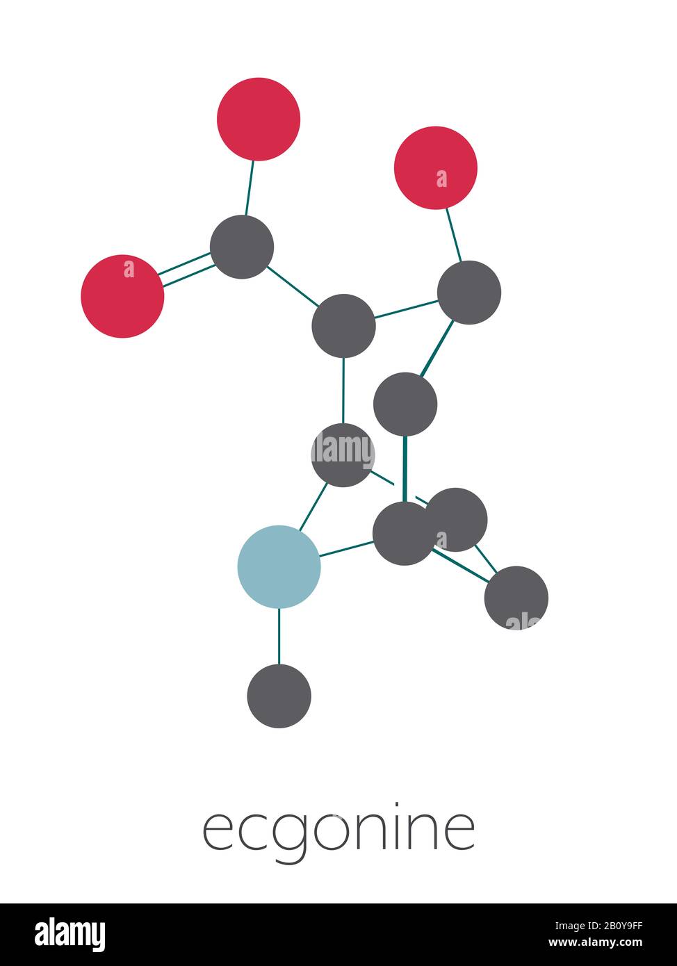 Ecgonine coca alkaloid molecule, illustration Stock Photo - Alamy
