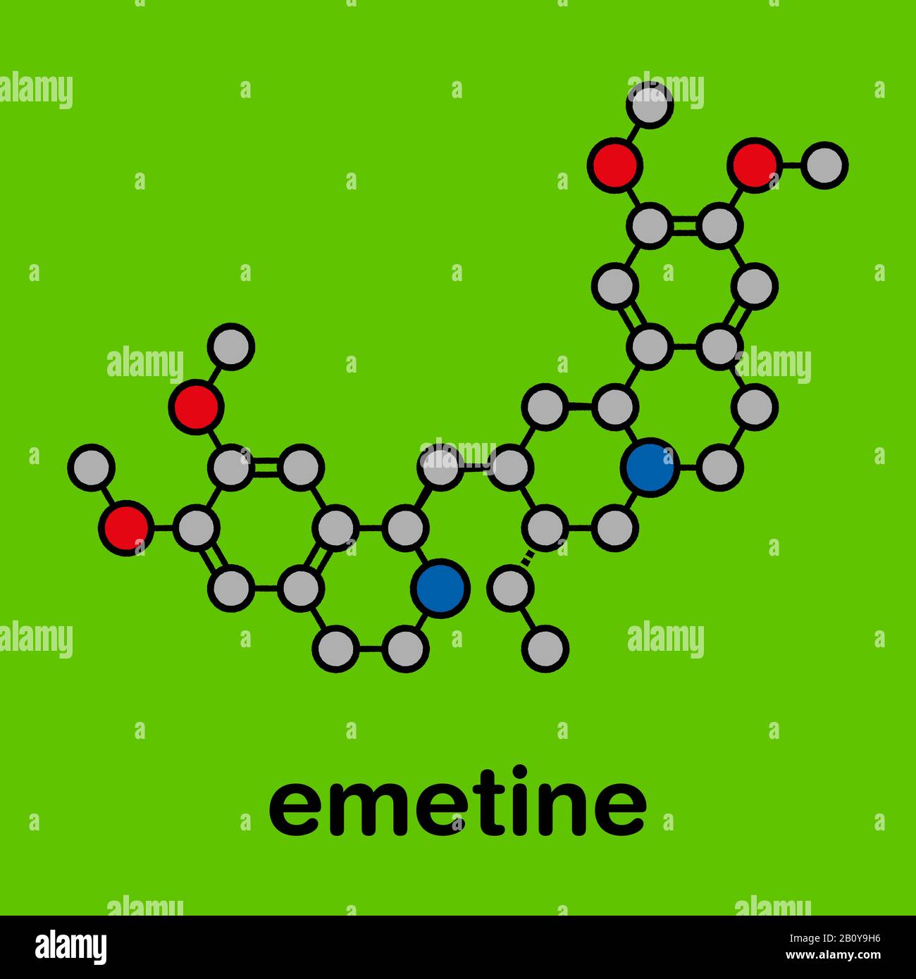 Structure of amoeba hi-res stock photography and images - Alamy