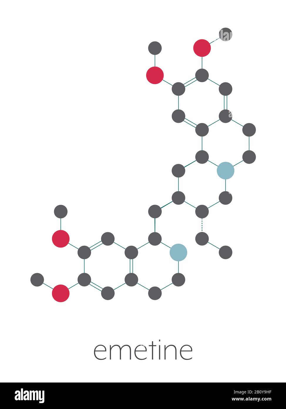 Structure of amoeba hi-res stock photography and images - Alamy