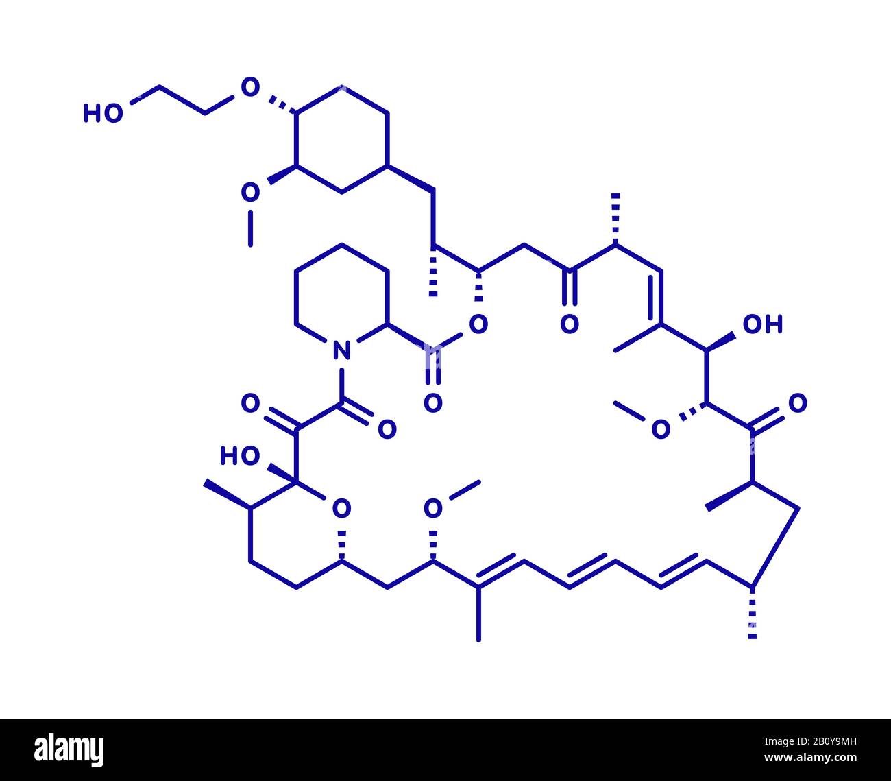 Everolimus immunosuppressant molecule, illustration Stock Photo - Alamy
