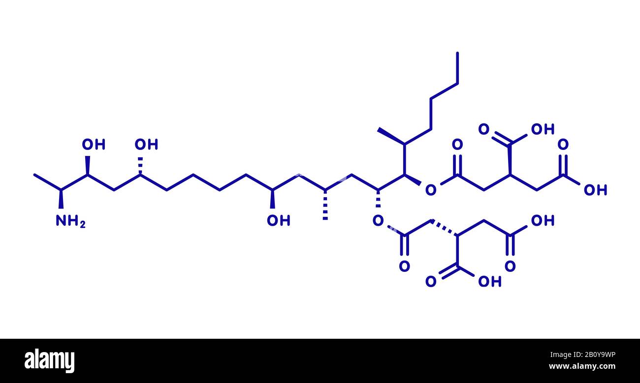 Fumonisin B1 mycotoxin molecule, illustration Stock Photo - Alamy