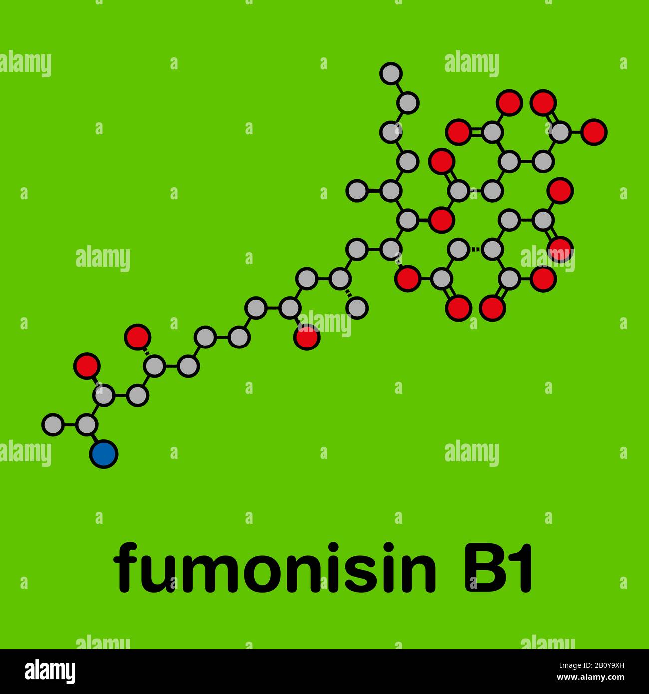 Fumonisin B1 mycotoxin molecule, illustration Stock Photo - Alamy