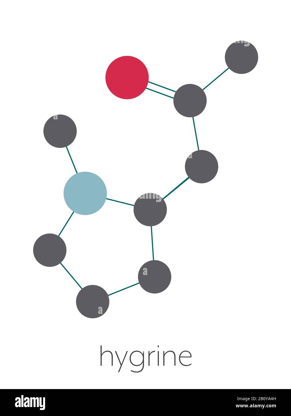 Pyrrolidine alkaloid hi-res stock photography and images - Alamy