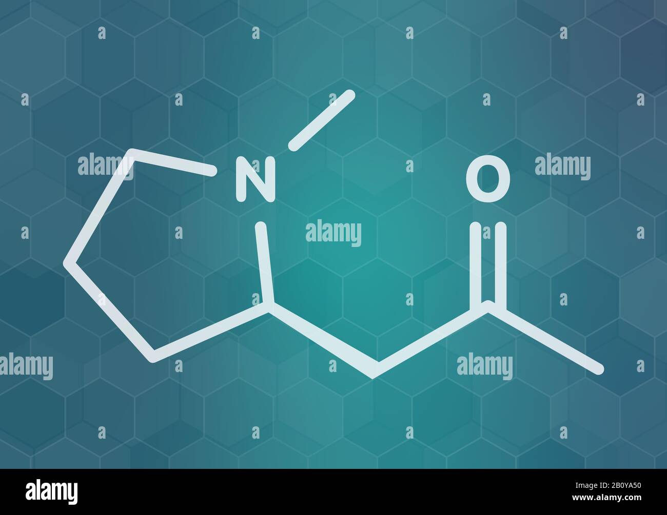 Hygrine coca alkaloid molecule, illustration Stock Photo - Alamy