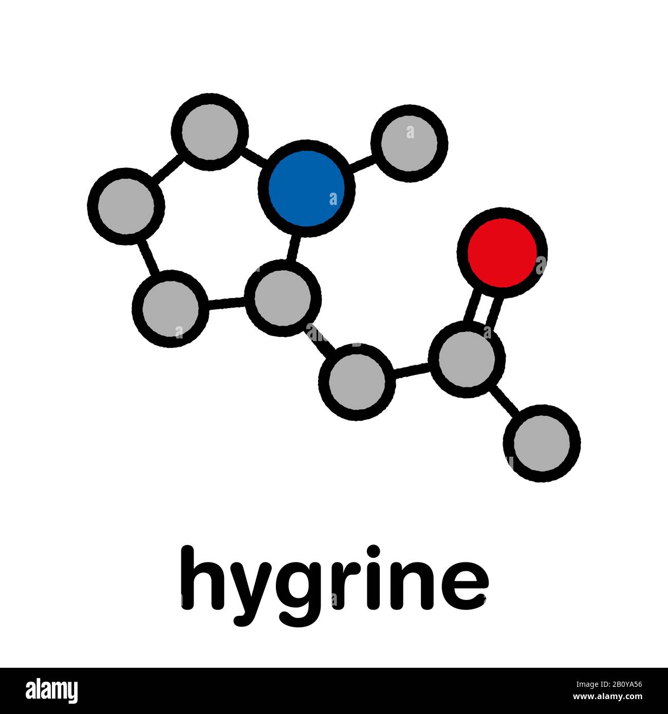 Hygrine coca alkaloid molecule, illustration Stock Photo - Alamy