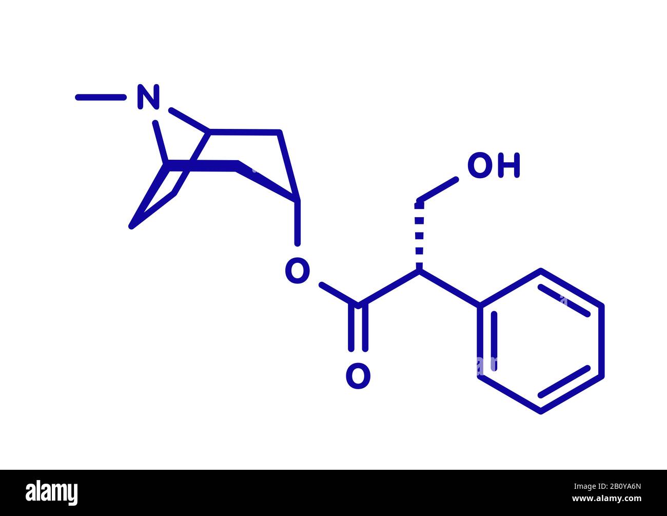 Hyoscyamine alkaloid molecule, illustration Stock Photo - Alamy
