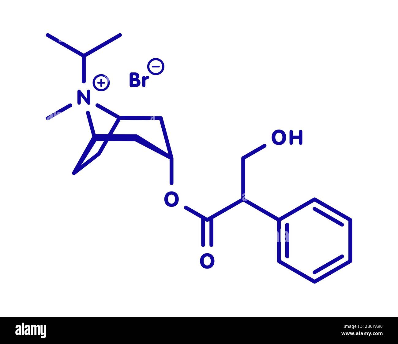 Ipratropium bromide asthma drug molecule, illustration Stock Photo - Alamy