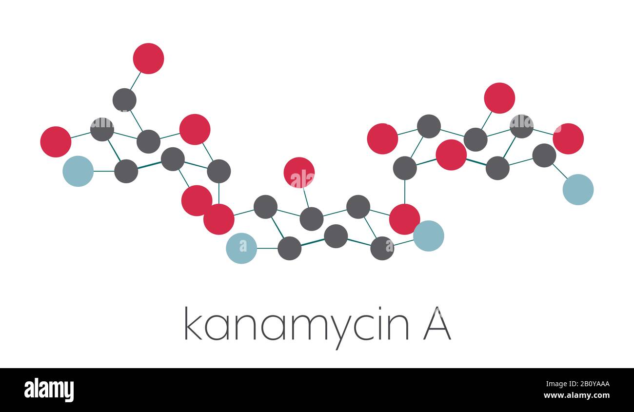 Kanamycin antibiotic drug molecule, illustration Stock Photo - Alamy
