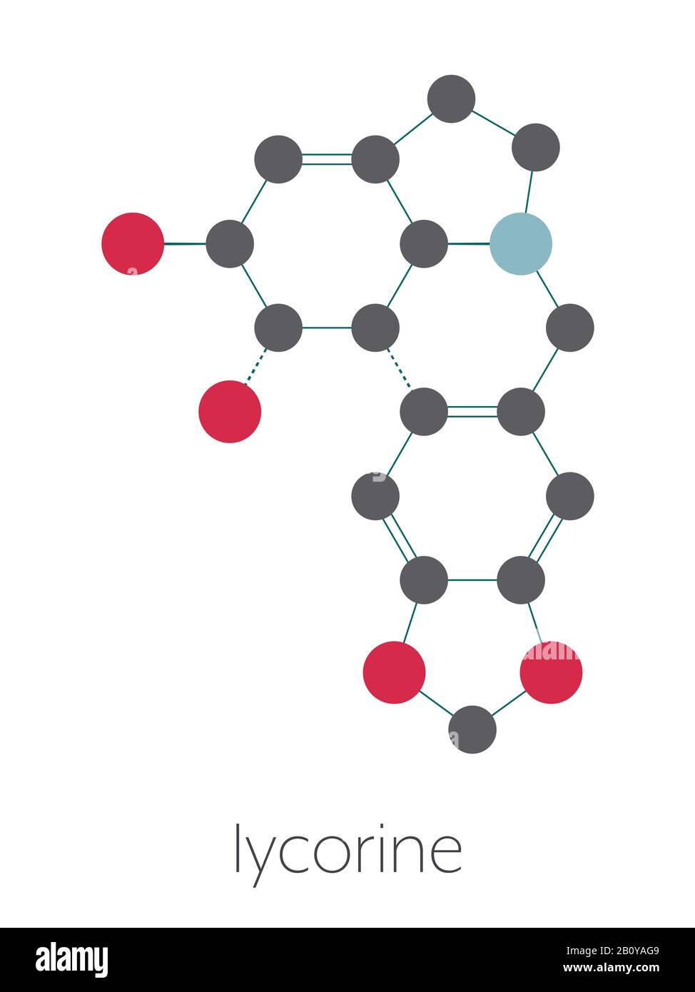 Lycorine poison hi-res stock photography and images - Alamy