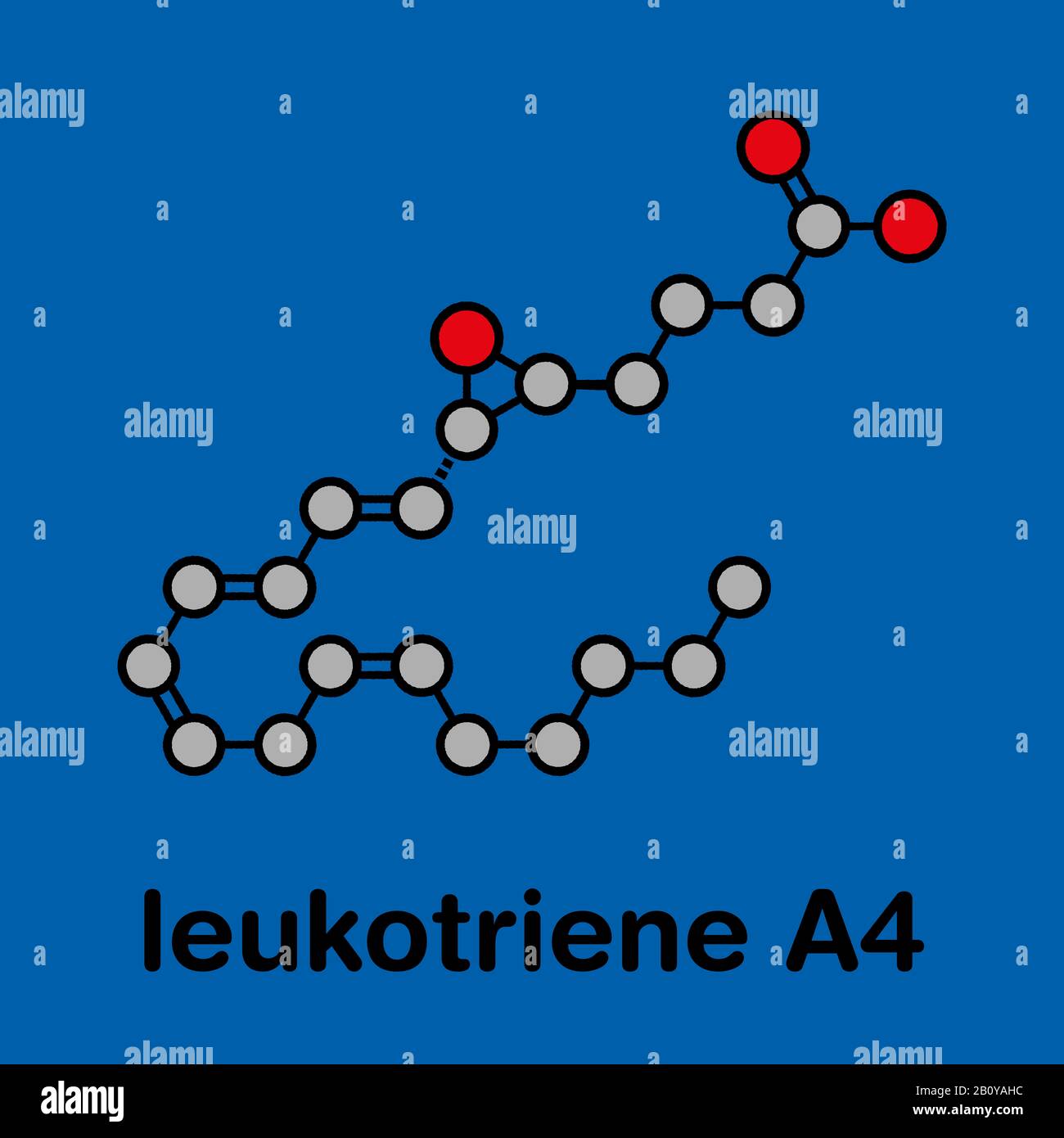Leukotriene A4 molecule, illustration Stock Photo - Alamy