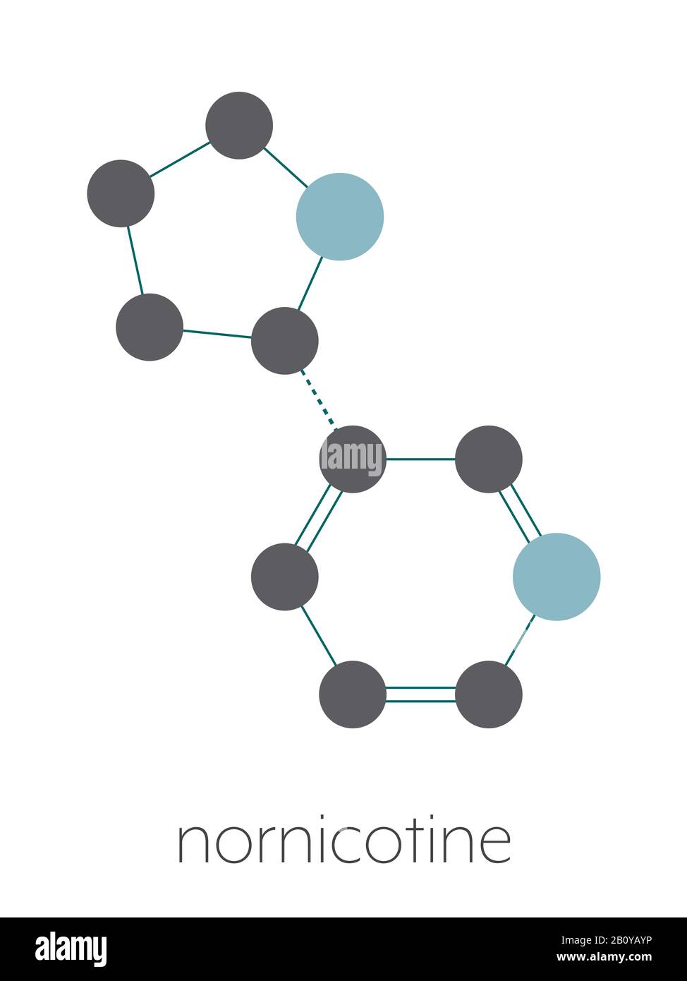Nornicotine alkaloid molecule, illustration Stock Photo - Alamy
