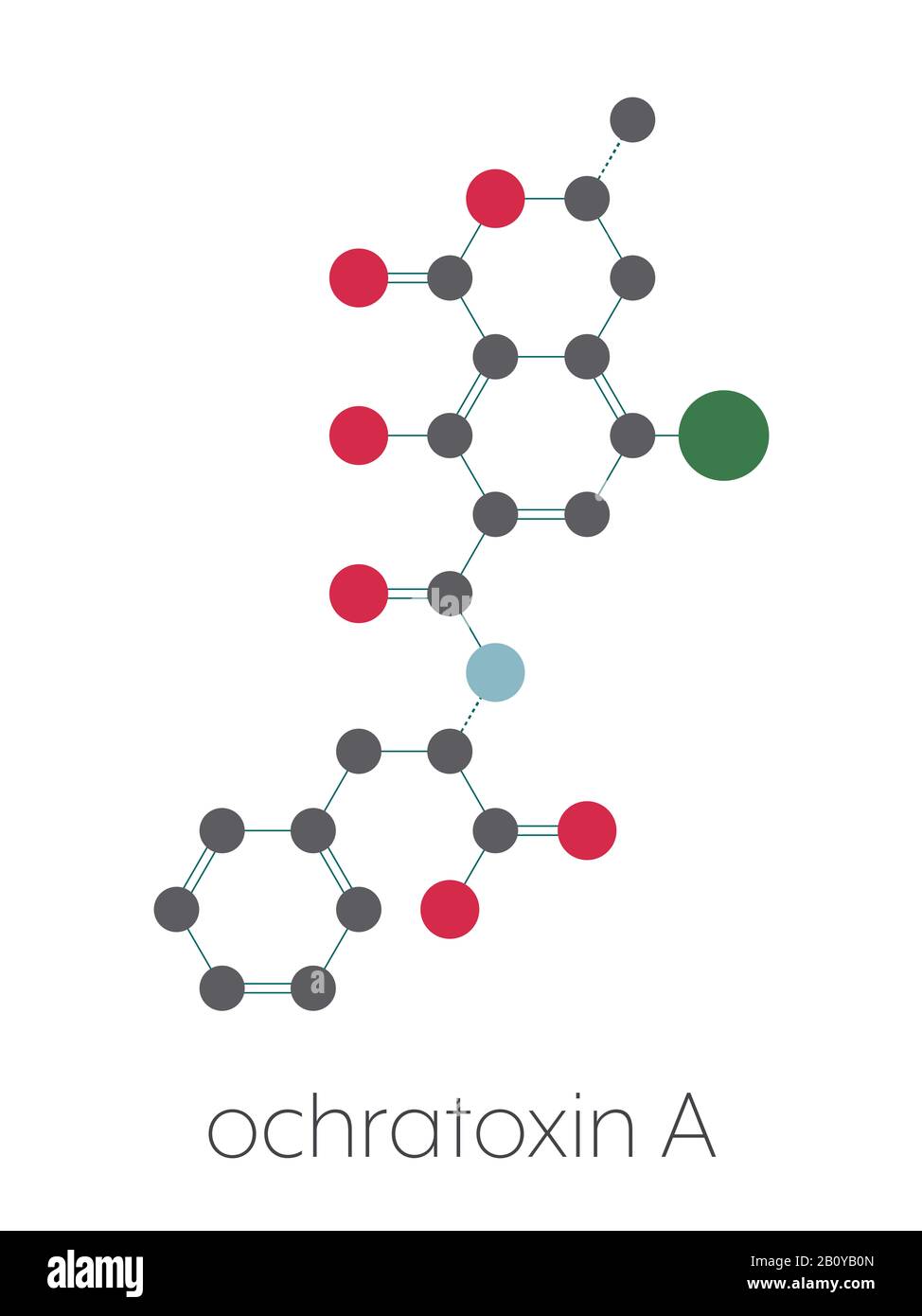 Ochratoxin A mycotoxin molecule, illustration Stock Photo - Alamy