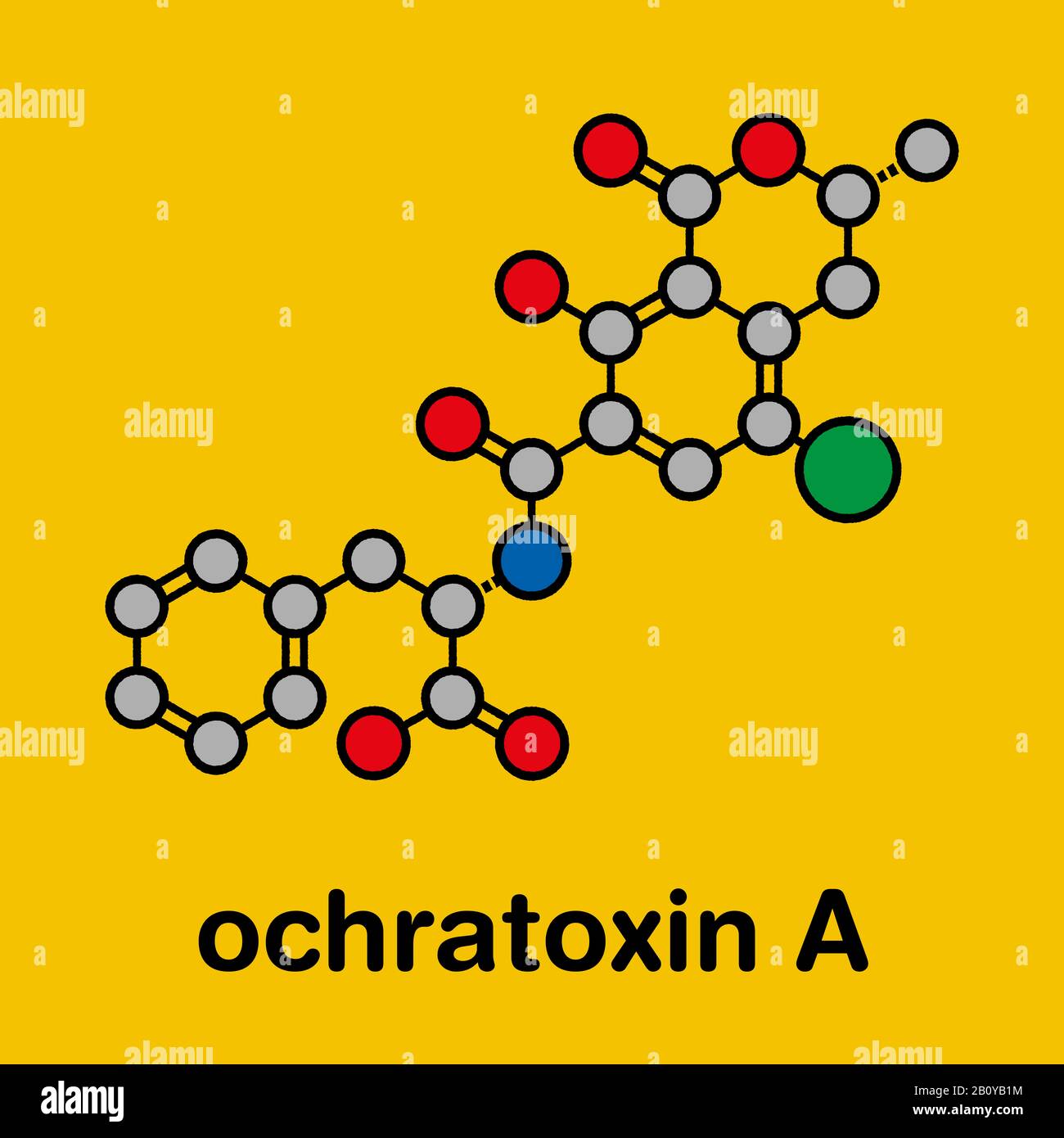 Ochratoxin A mycotoxin molecule, illustration Stock Photo - Alamy