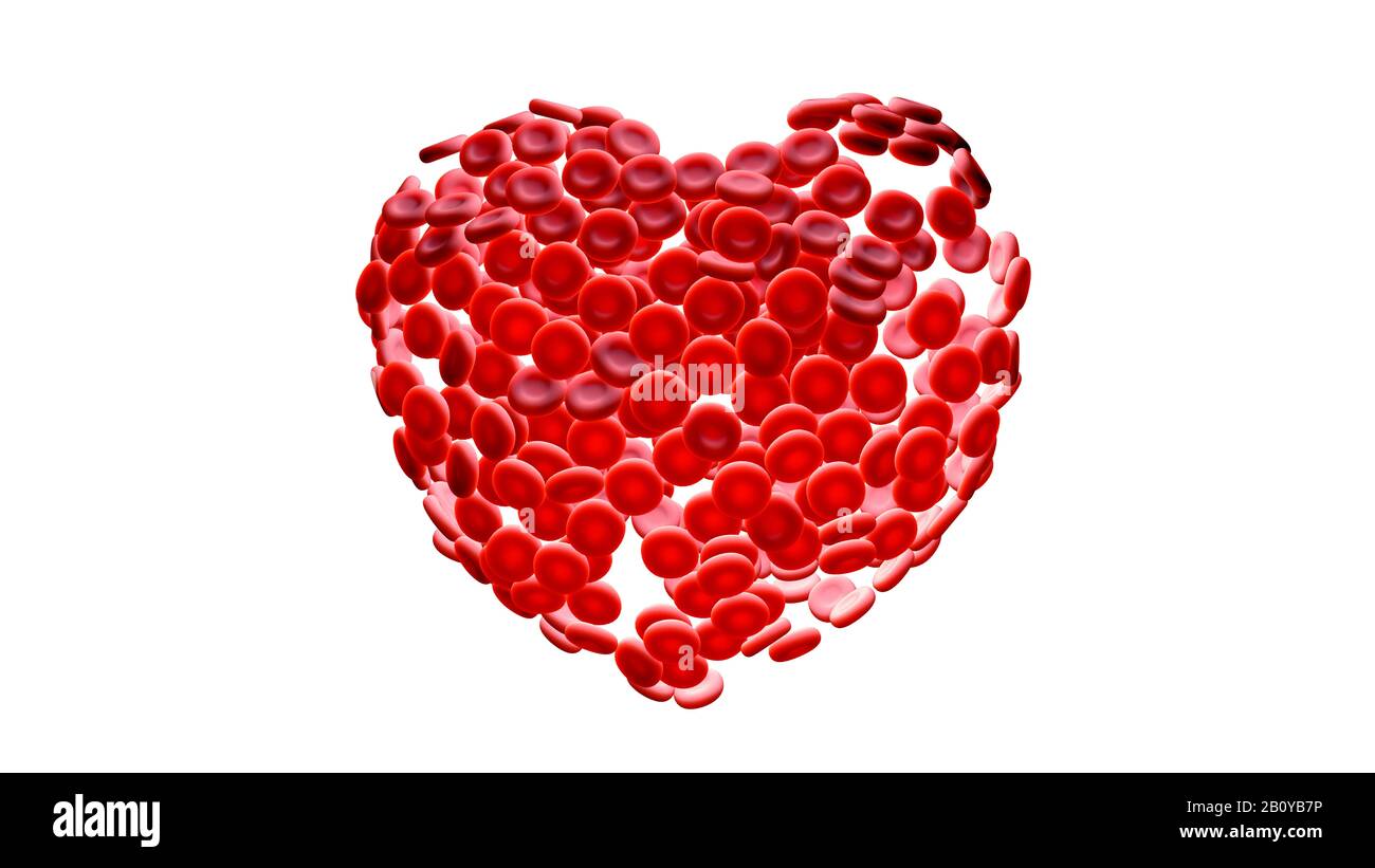 Human white and red blood cells Cut Out Stock Images & Pictures - Alamy