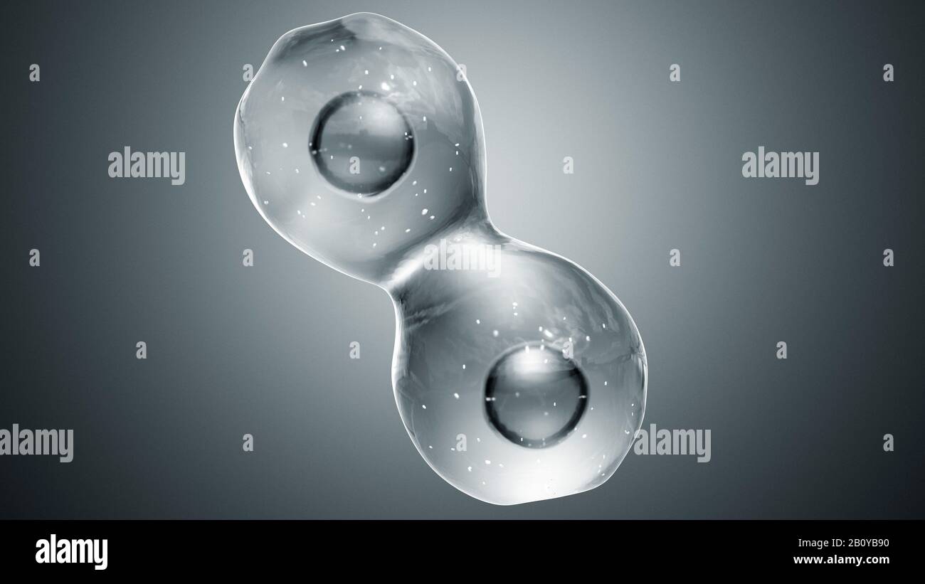 Cell division, illustration Stock Photo - Alamy