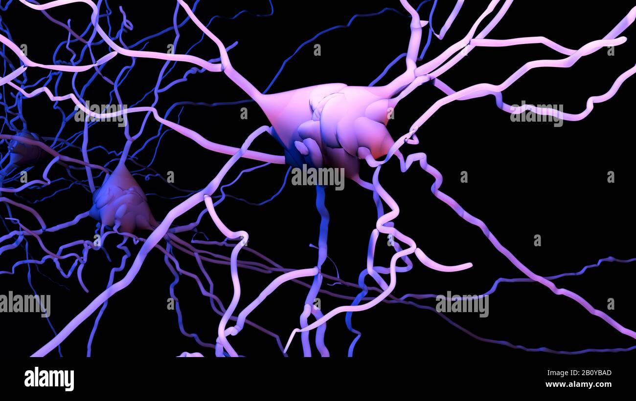 Nerve cells, illustration Stock Photo - Alamy