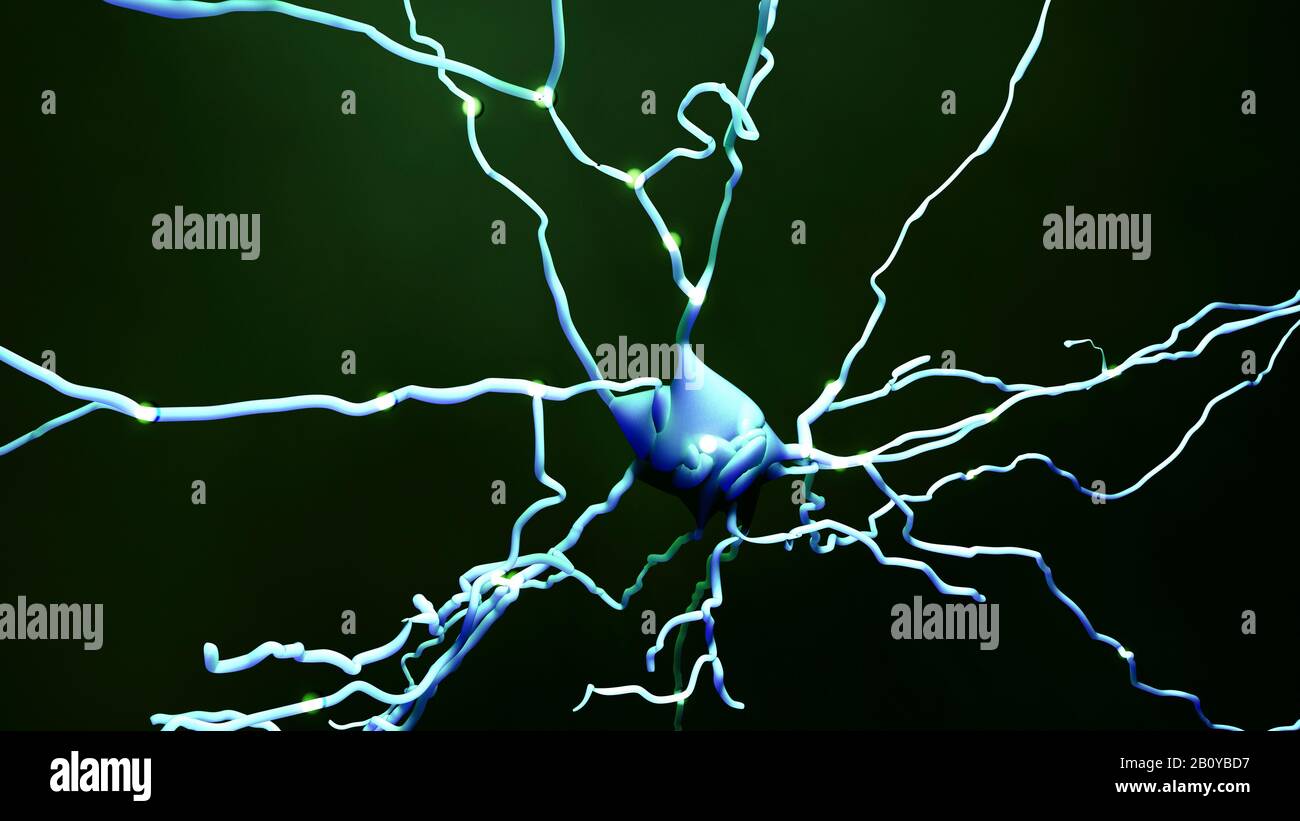 Nerve cells, illustration Stock Photo - Alamy