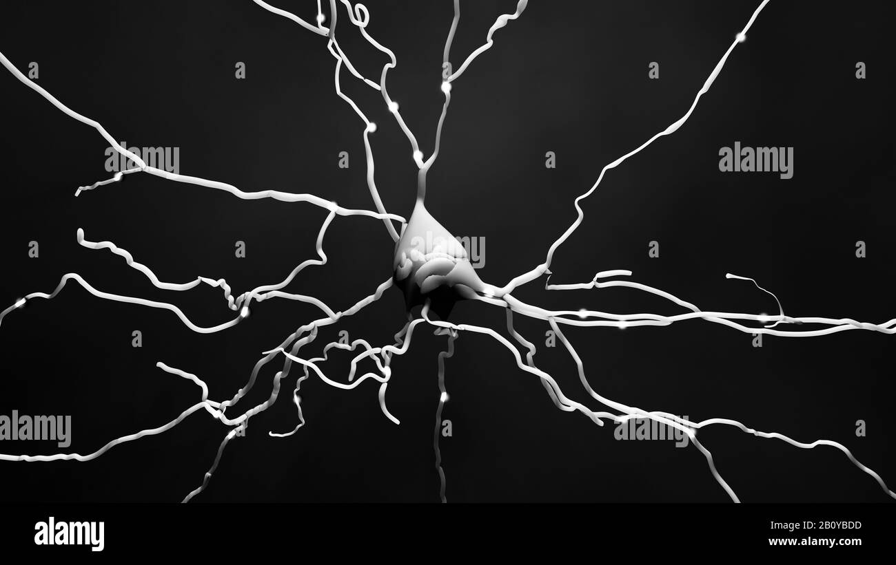 Nerve cells, illustration Stock Photo - Alamy